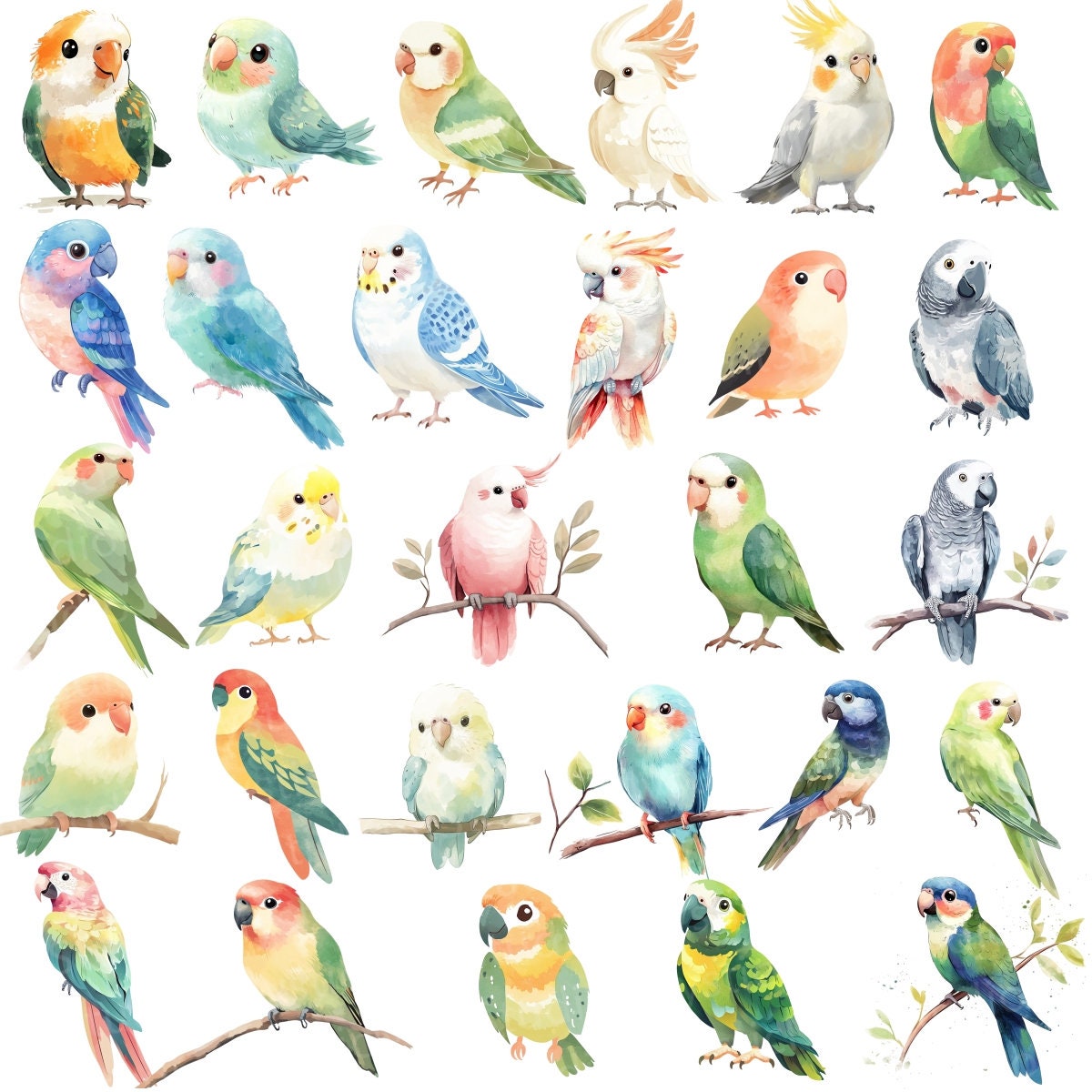 Cute Watercolor Parrot Clipart | Tropical Bird Clipart | Exotic Bird ...