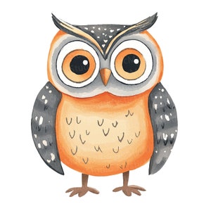 Watercolor Cute Owl Clipart Bird Clipart|nursery Clipart, Crafts and ...