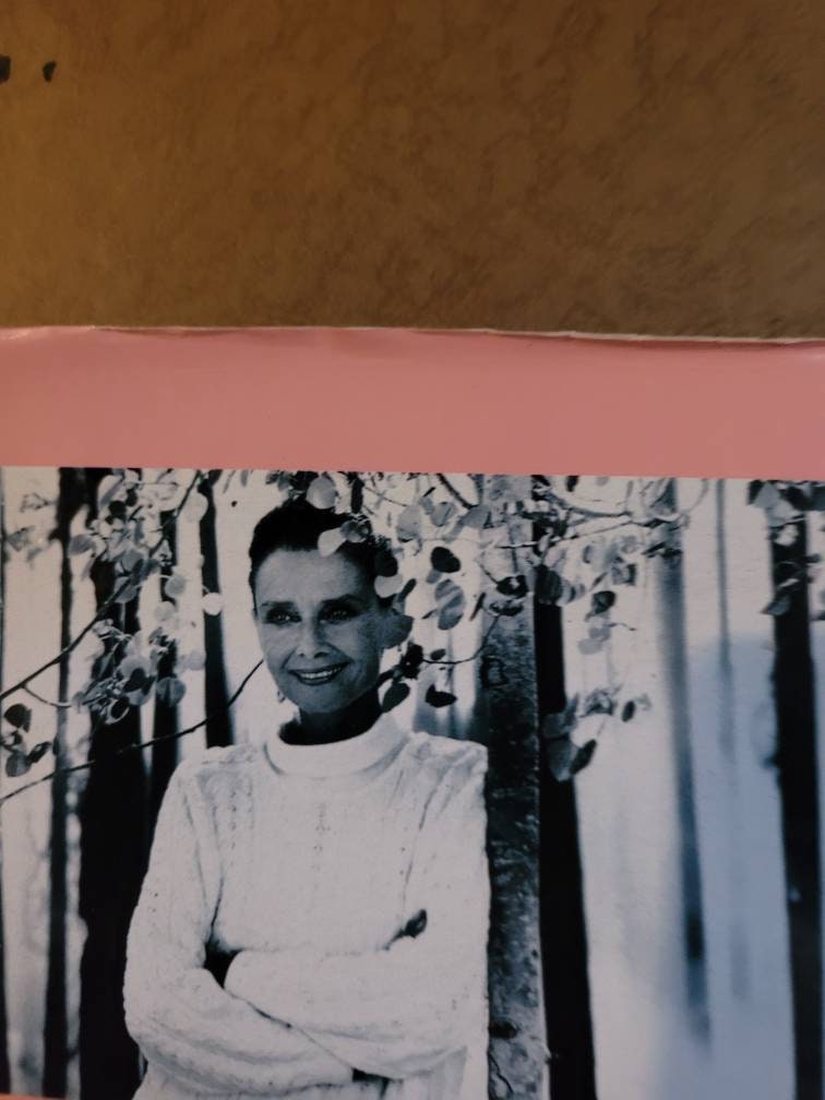 Audrey A Life in Pictures Book - Etsy