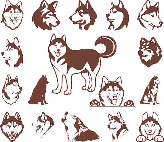 Huskysvgvector Filesvector Fileinstant Downloadfor Laser | Etsy