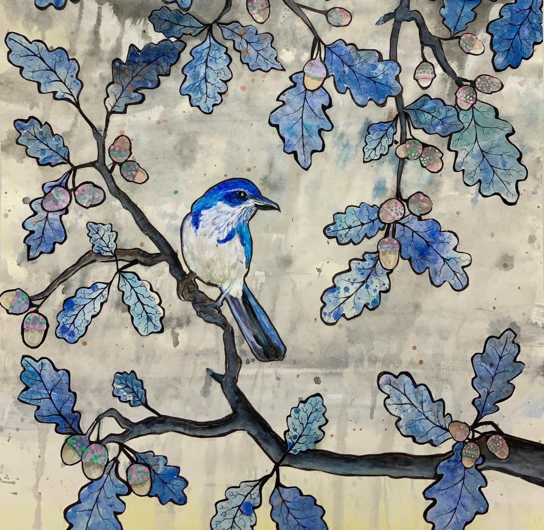 Blue Oak With Jay Fine Art Print – Fiona Hannon Original – Woodland ...
