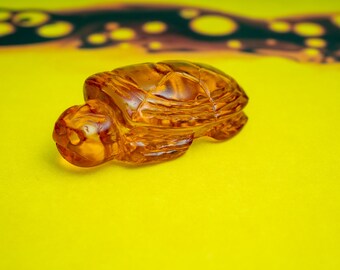 Amber Turtle - Etsy