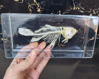 Resin animals | Etsy