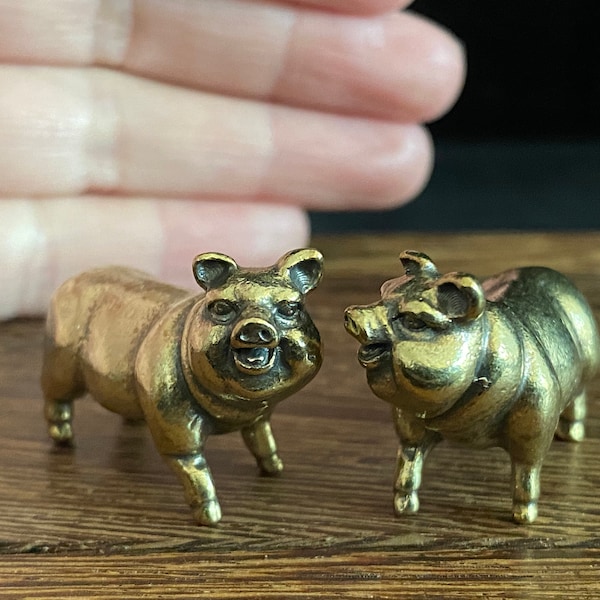 Micro Pig - Etsy