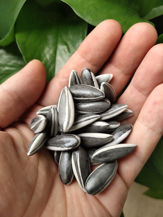 Ai Weiwei Art Sunflower Seeds