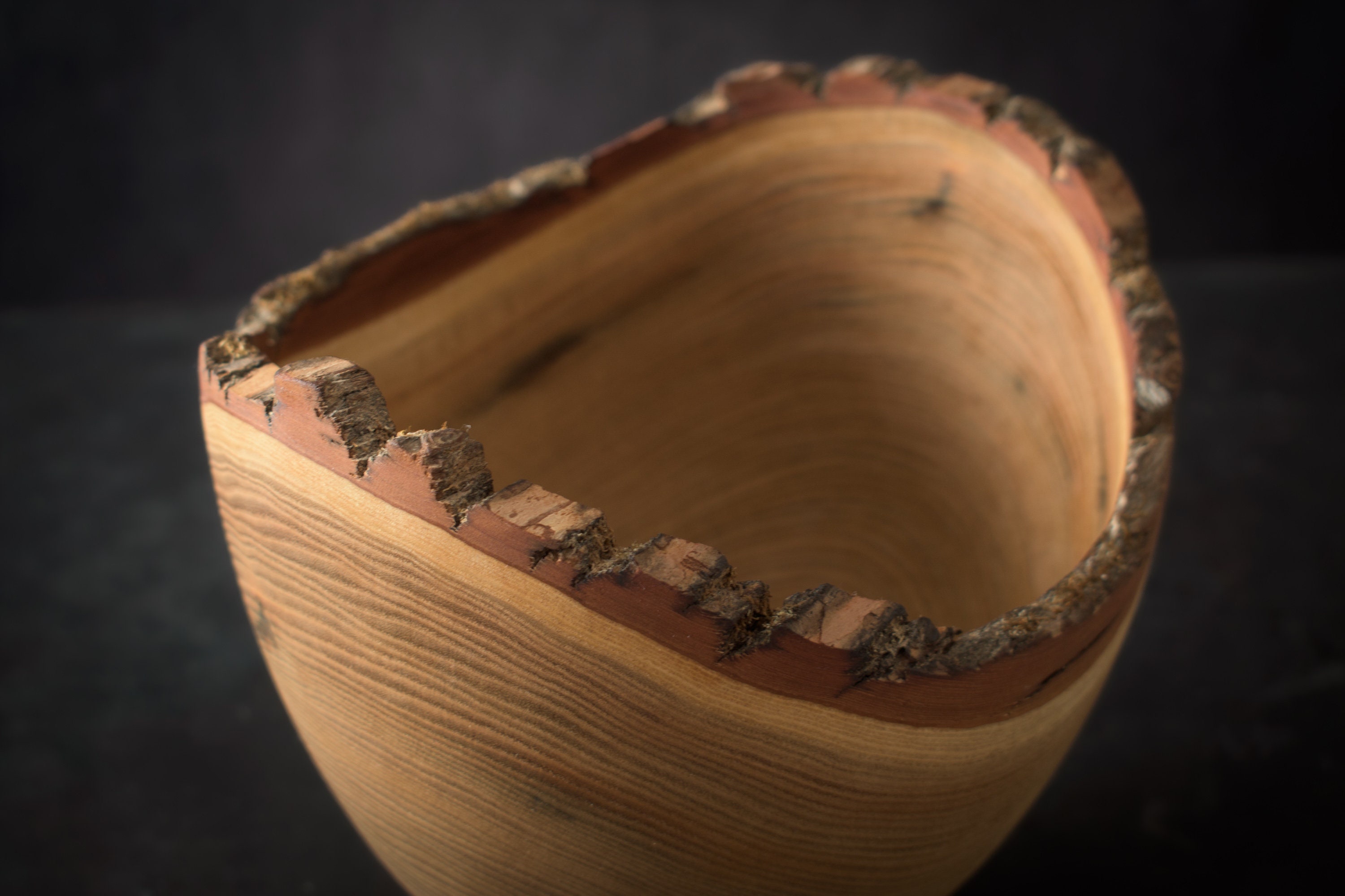 Natural Edge Sassafras Bowl, Natural Edge Wooden Bowl, Decorative Bowl ...