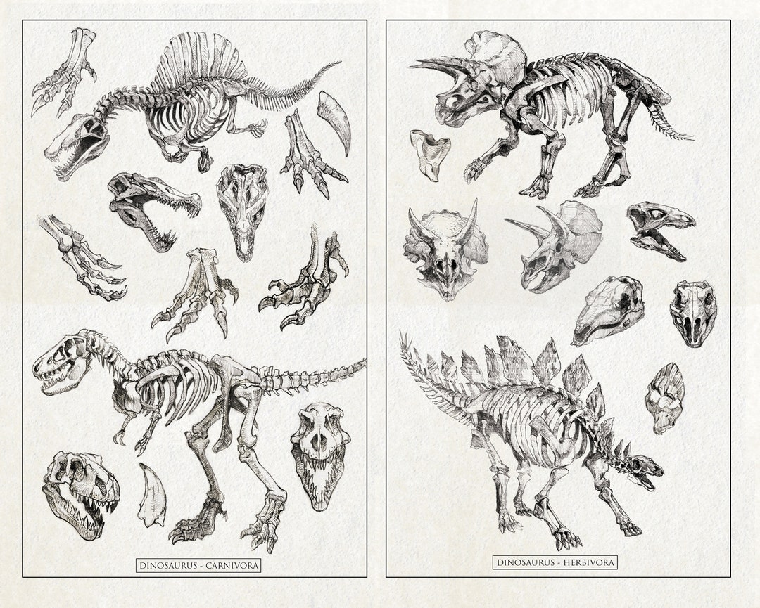 Vintage Dinosaur: Junk Journal Printable Sticker Sheet - Etsy