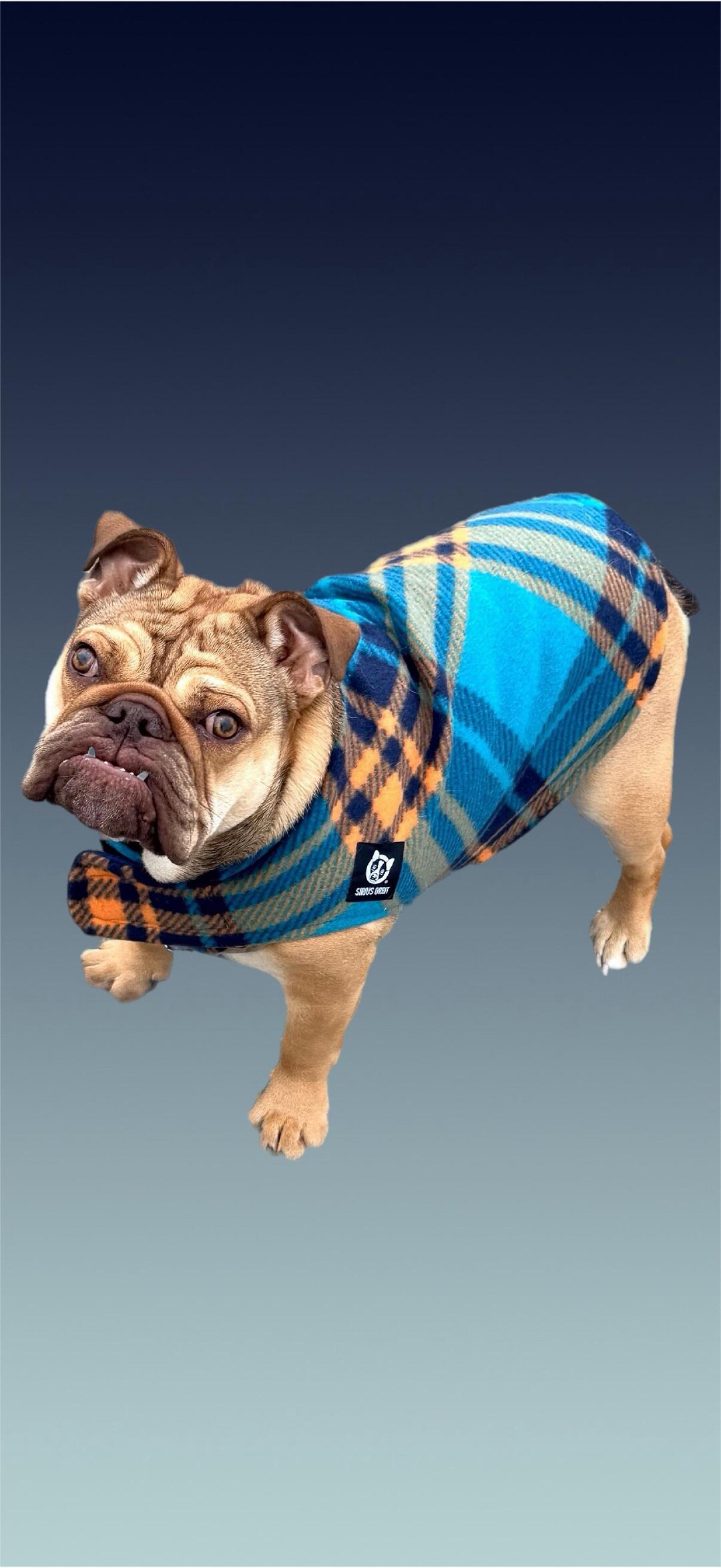 Reversible Fleece Dog Coat: Custom Fit, Harness Opening, Calming Wrap ...