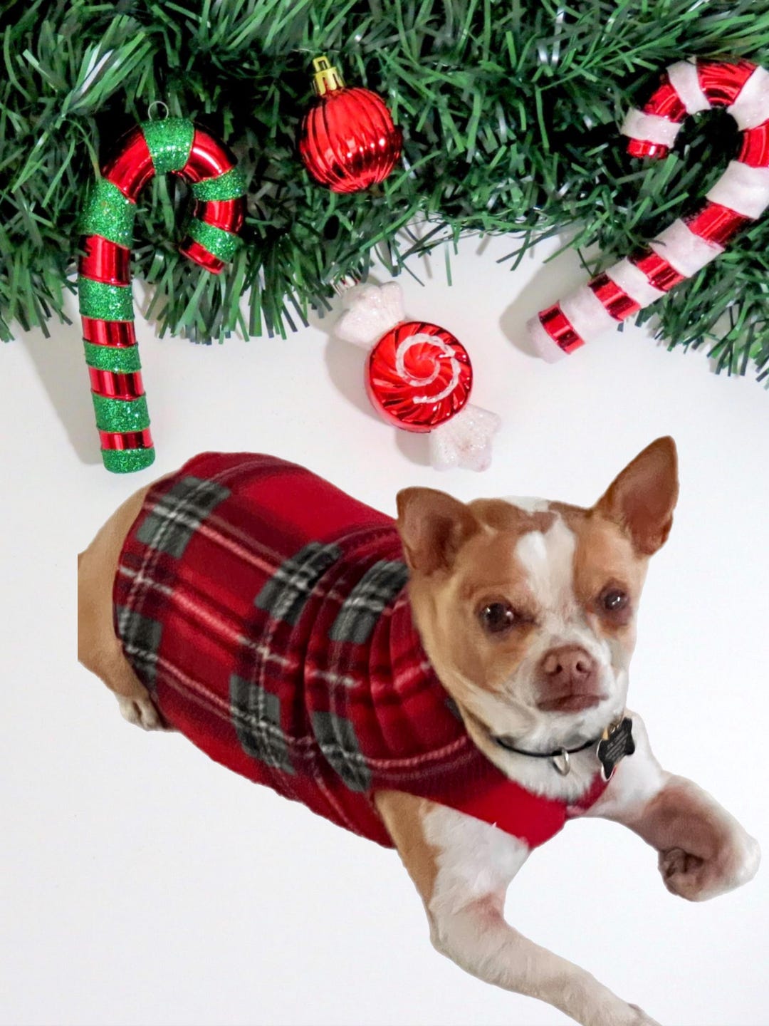 WARM FLEECE DOG Sweaters: Warm, Soft, 2-way Stretch, Custom Orders at ...