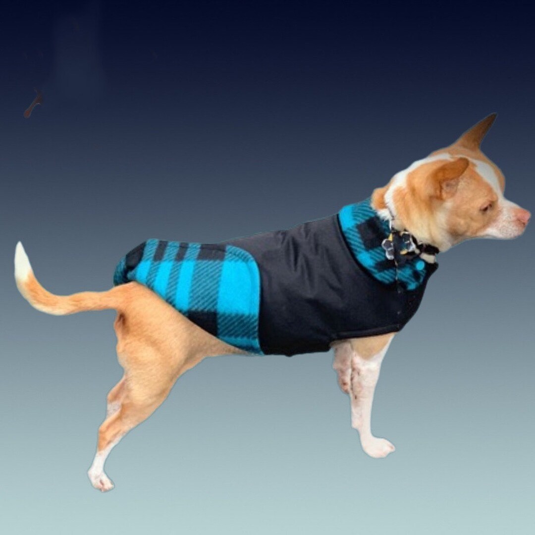 Custom Reversible Waterproof Dog Coat: Calming Wrap, Harness Opening ...