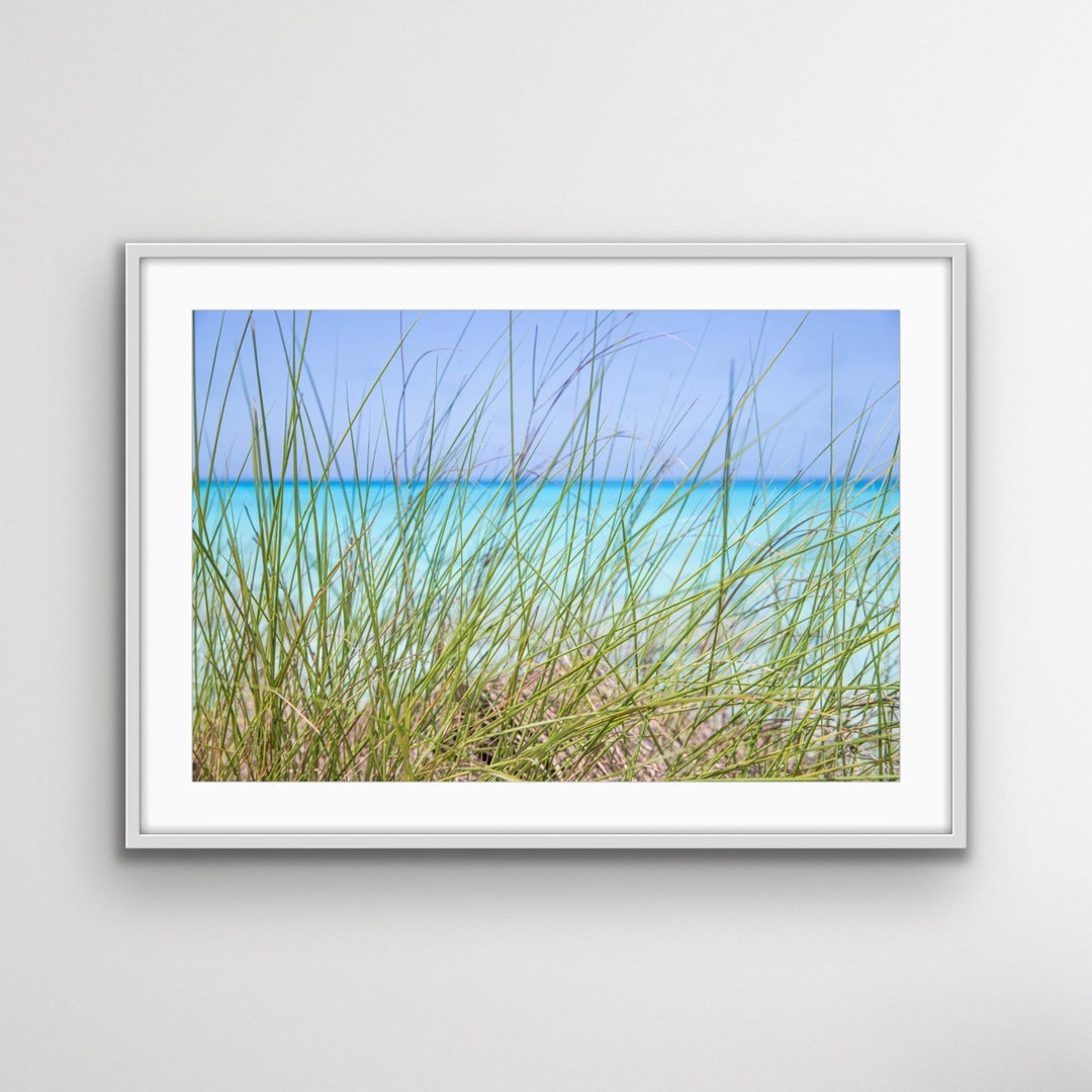 Beach Grass Photography Art Beach Vacation Art Photography - Etsy