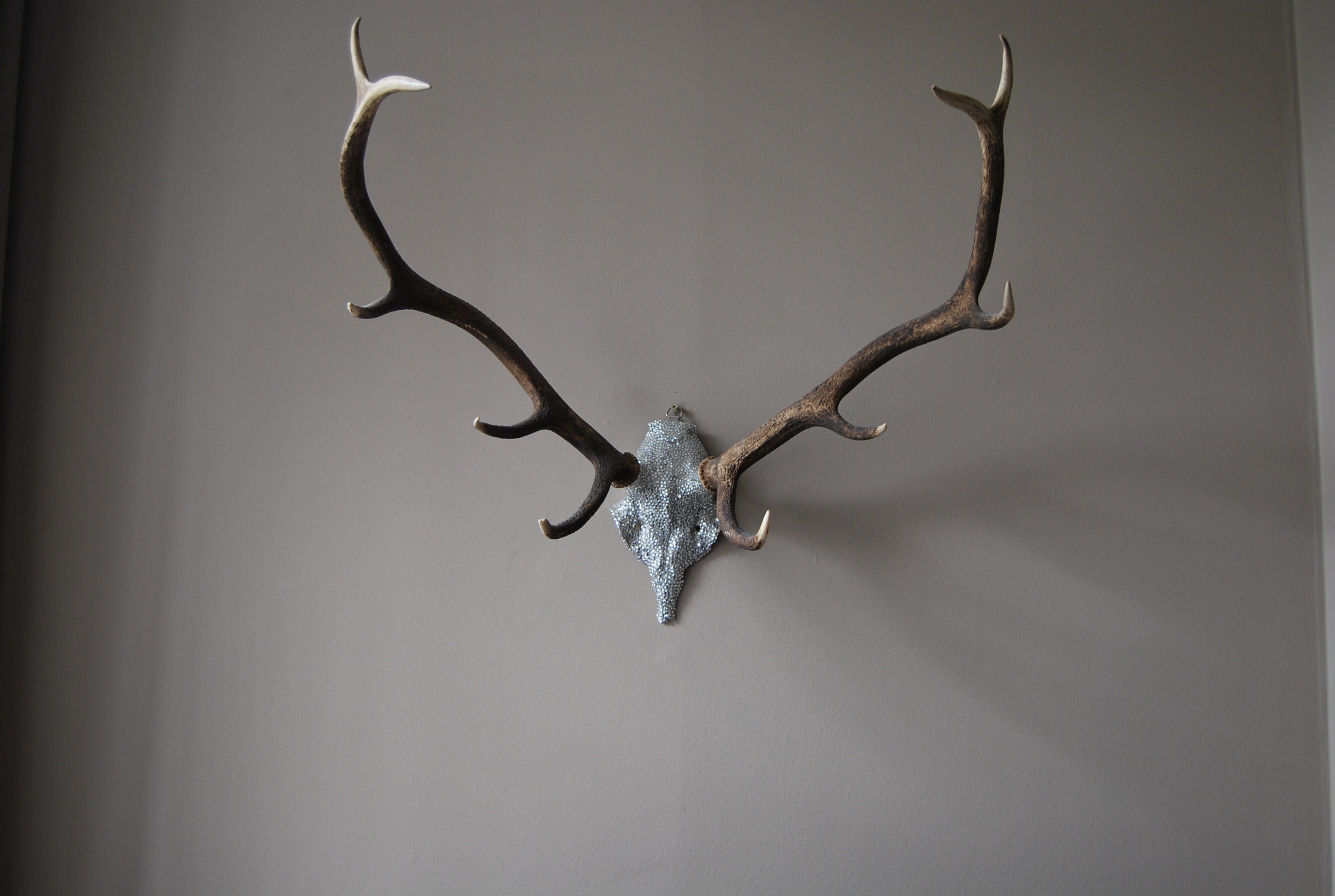 Hand Crafted Unique 10 Point Scottish Red Dear Antlers - Etsy