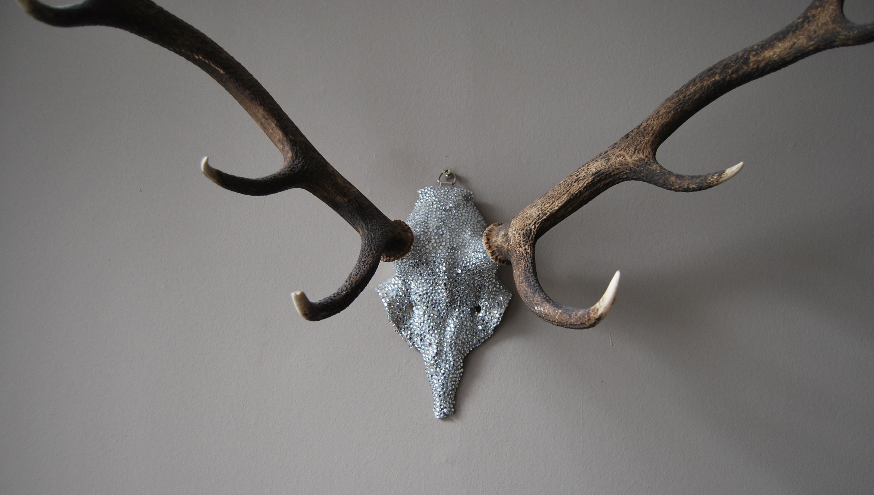 Hand Crafted Unique 10 Point Scottish Red Dear Antlers - Etsy