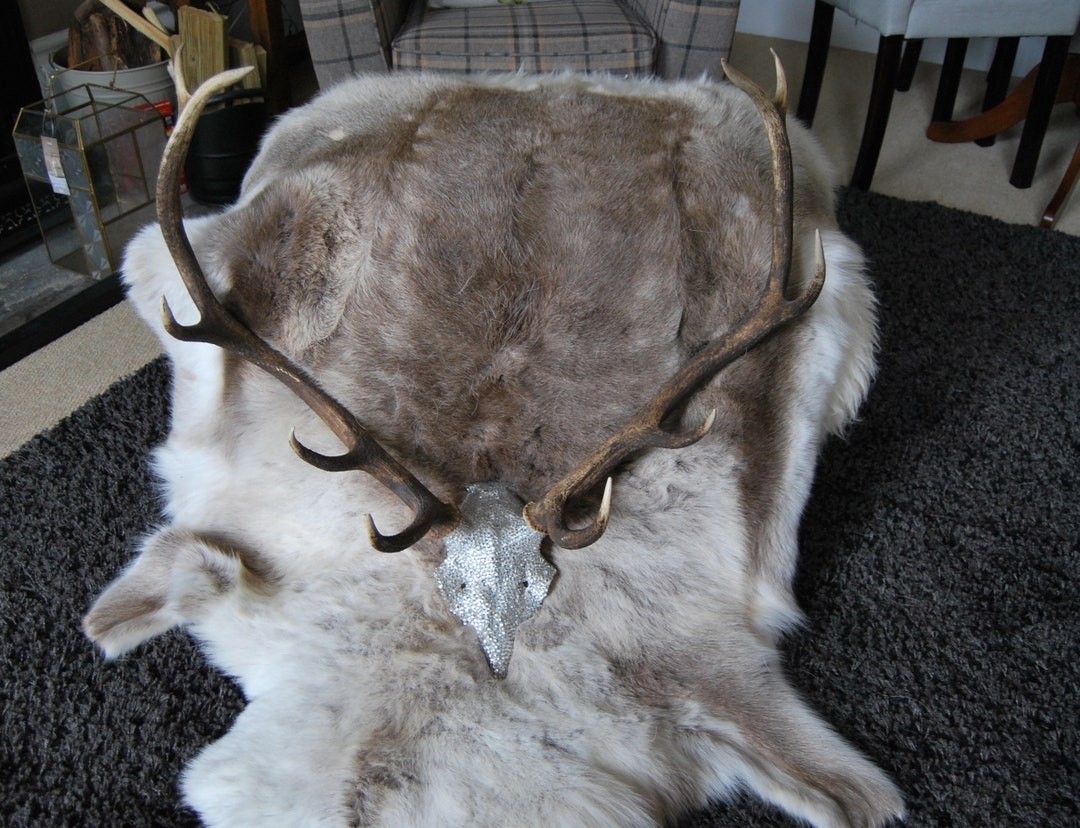 Hand Crafted Unique 10 Point Scottish Red Dear Antlers - Etsy