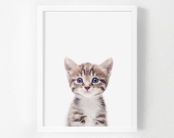 Kitten Art Print | Etsy