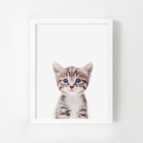 Kitten Print Printable Wall Art Printables Minimalist - Etsy