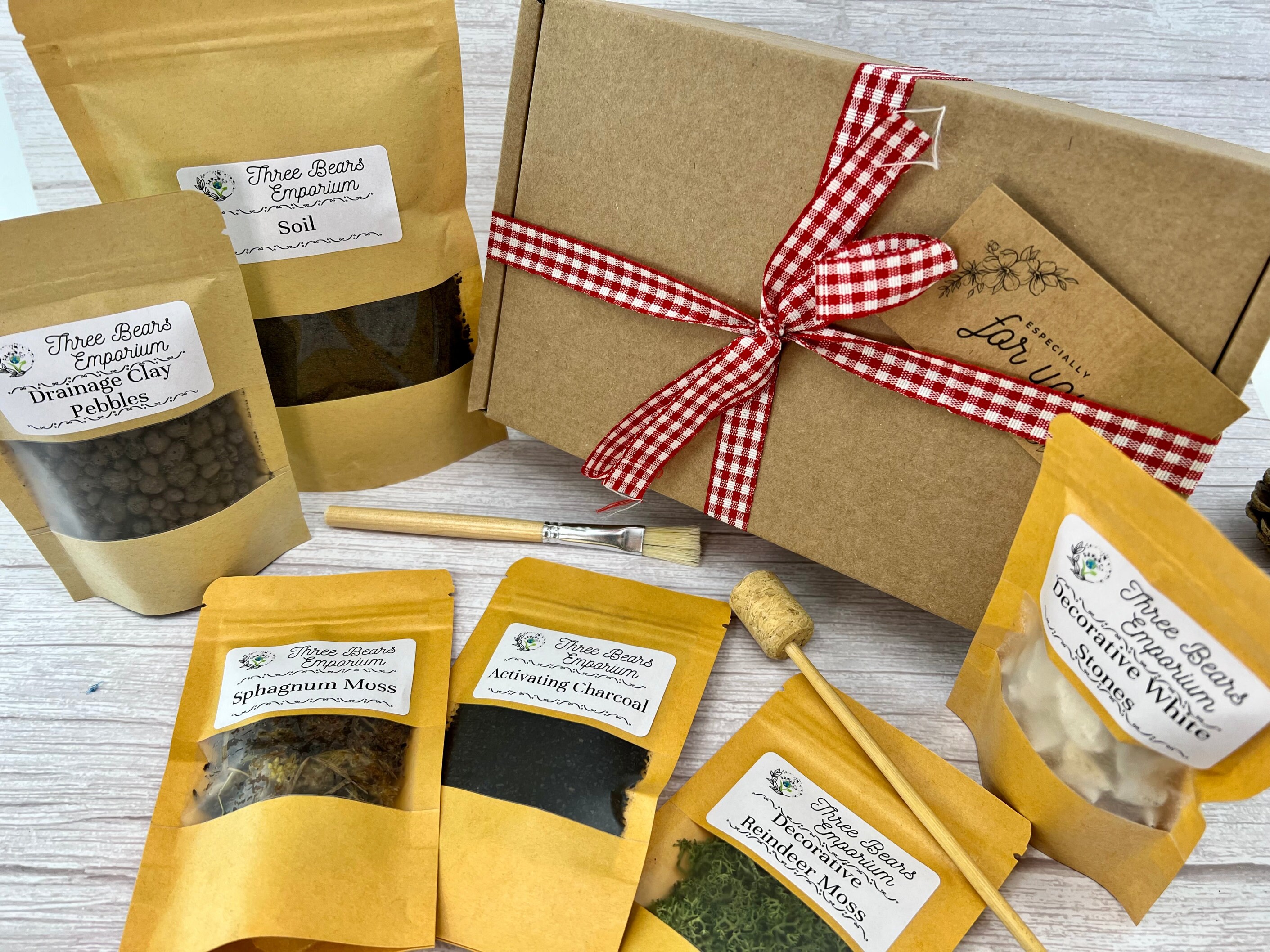 COMPLETE Terrarium Kit With Plants and Glass Geometric - Etsy UK