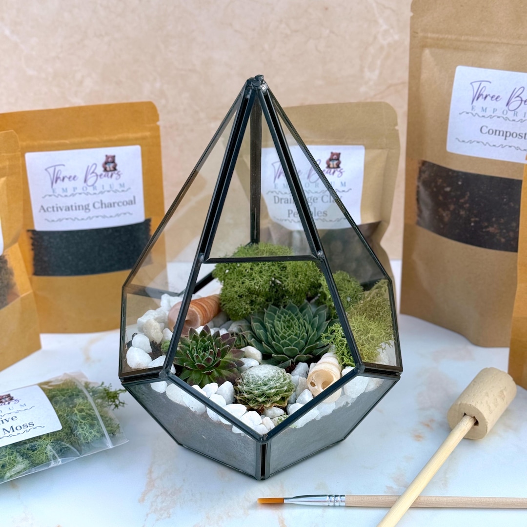 COMPLETE Terrarium Kit With Plants and Glass Geometric Terrarium ...