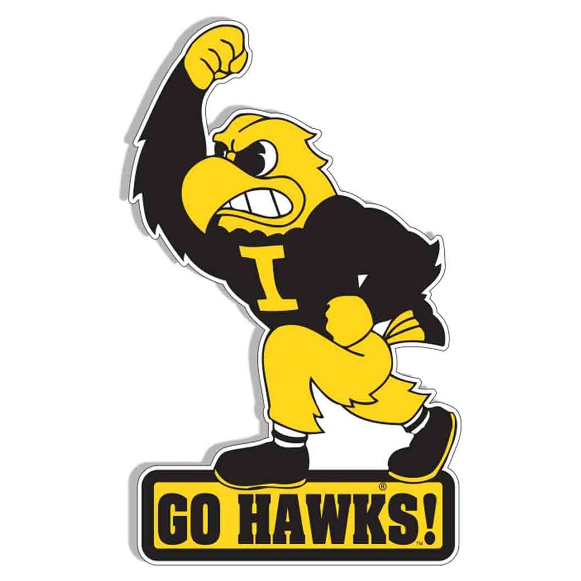 University of Iowa Herky Go Hawks 2pc Birthday Yard Art - Etsy
