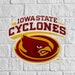 Iowa State Cyclones Acrylic Wall Decor: Indoor/outdoor Art - Etsy