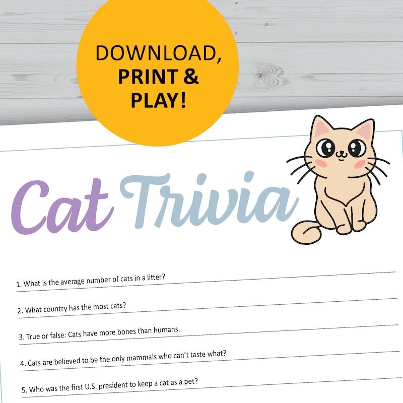 Cat's Game Night - Etsy