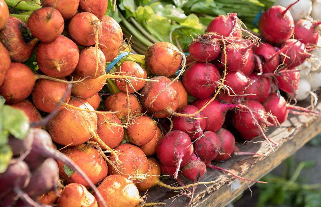 Orange and Red Radishes , Farmers Market - Etsy