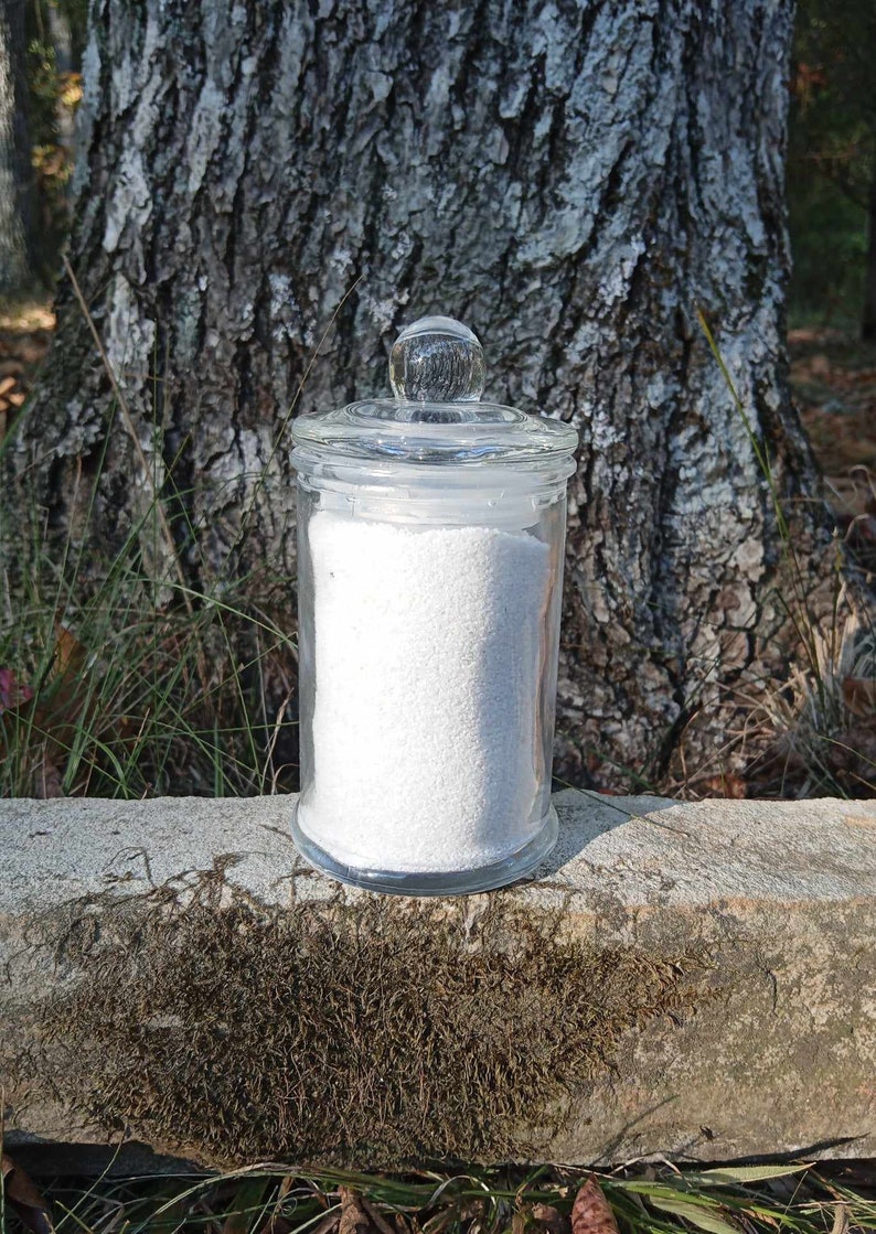 Wizarding HP Fandom Potions. These Magical Decor Pieces Come in 3 ...