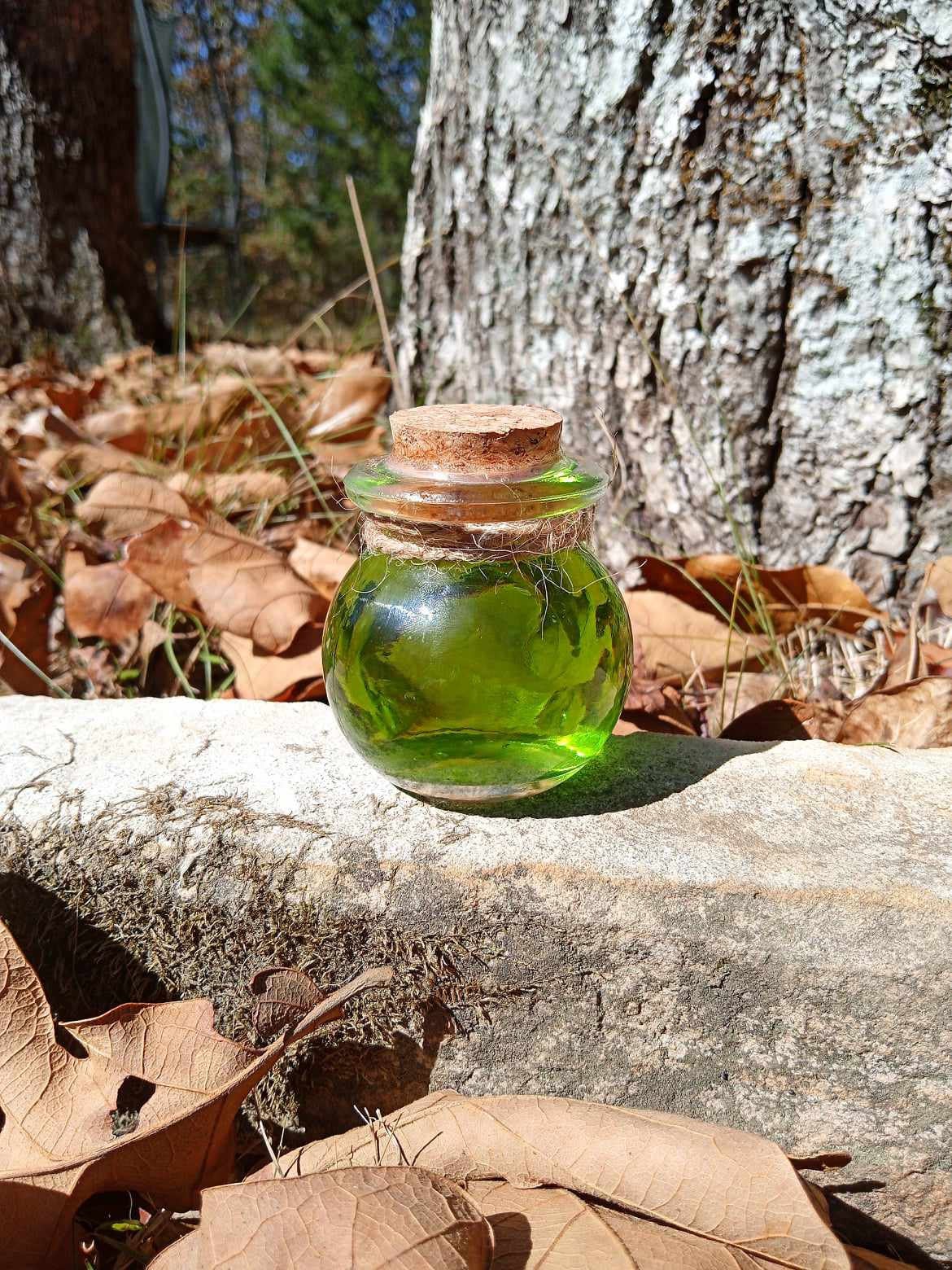 Health, Mana, & Stamina Potion Set. Great Collection Set for Any ...