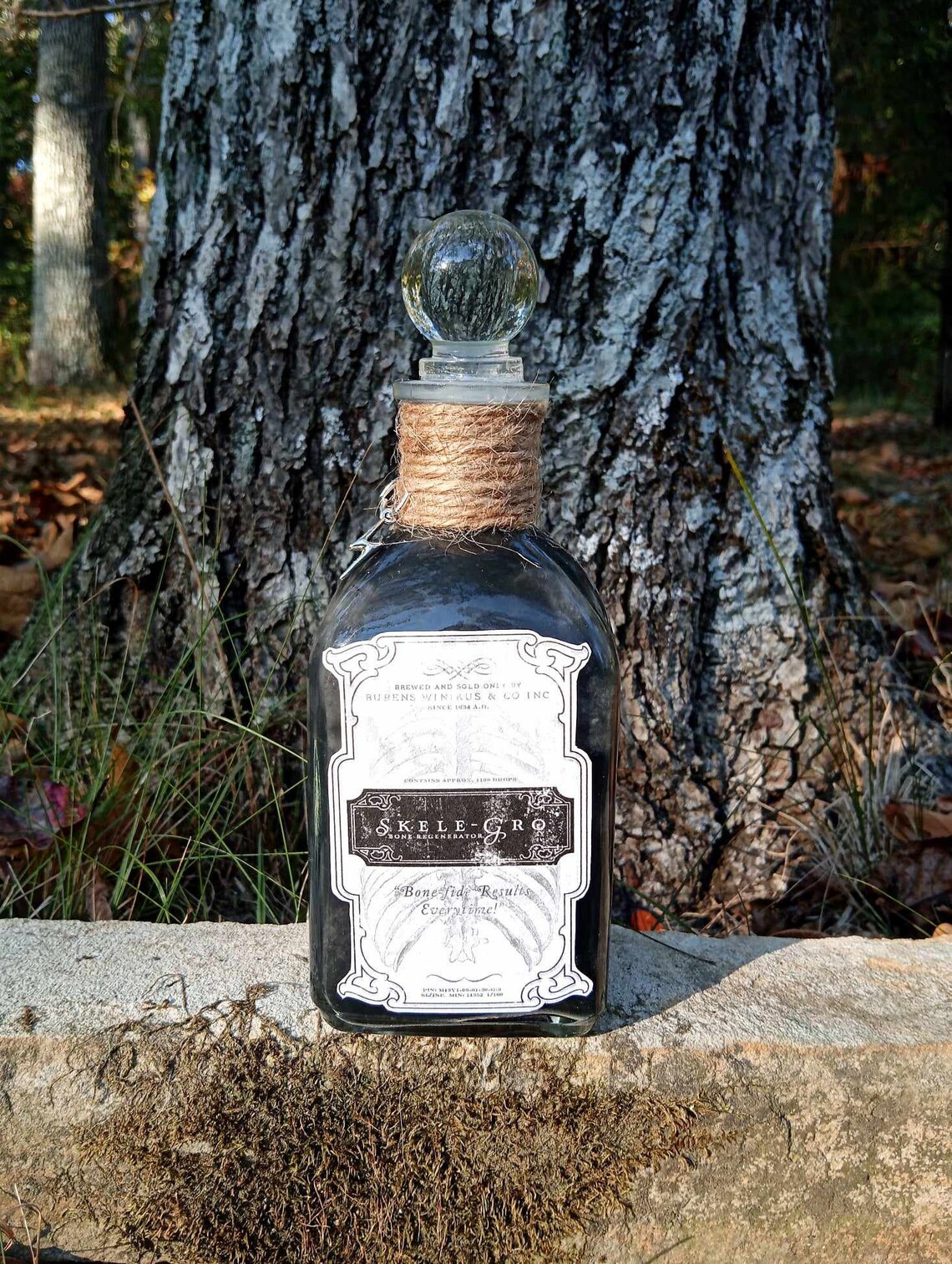 Wizarding HP Fandom Potions. These Magical Decor Pieces Come in 3 ...