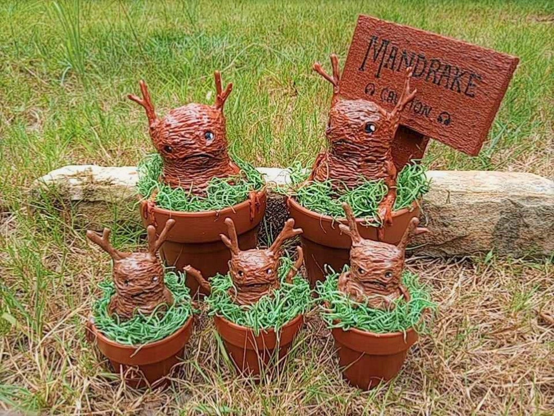 HP Fandom Alraun. Diese handgefertigten Alraun Pflanzen sind die ...