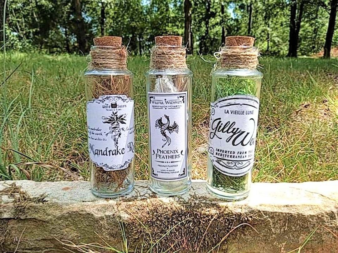 Wizarding HP Fandom Potions. Magical Decor Available in 3 Styles ...