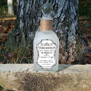 Wizarding HP Fandom Potions. These Magical Decor Pieces Come in 3 ...