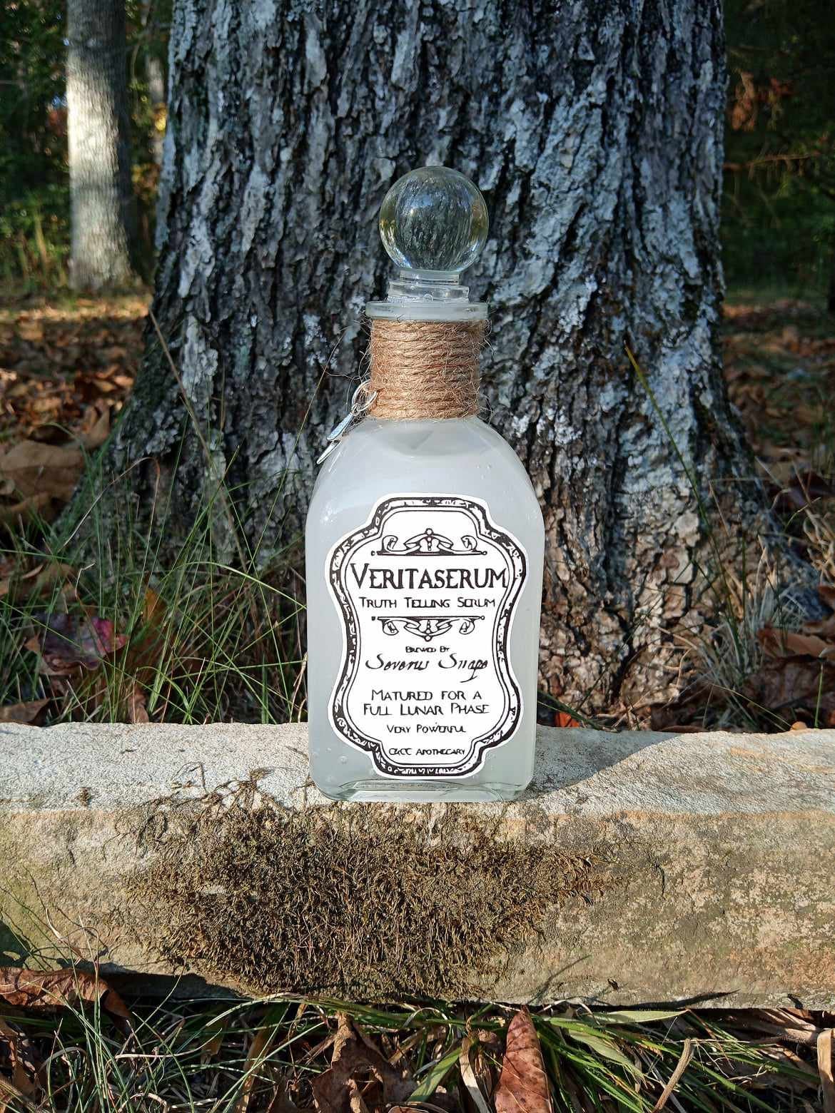 Wizarding HP Fandom Potions. These Magical Decor Pieces Come in 3 ...