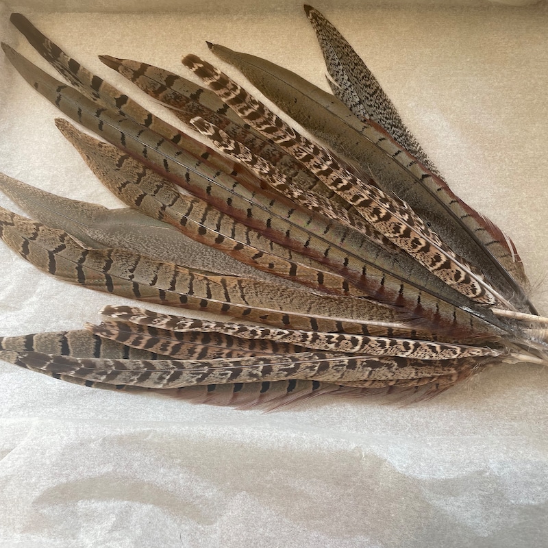 Rustic Pheasant Wreath - Etsy UK