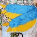 Custom Any Color Partial Fursuit Bird Wings for Furry - Etsy