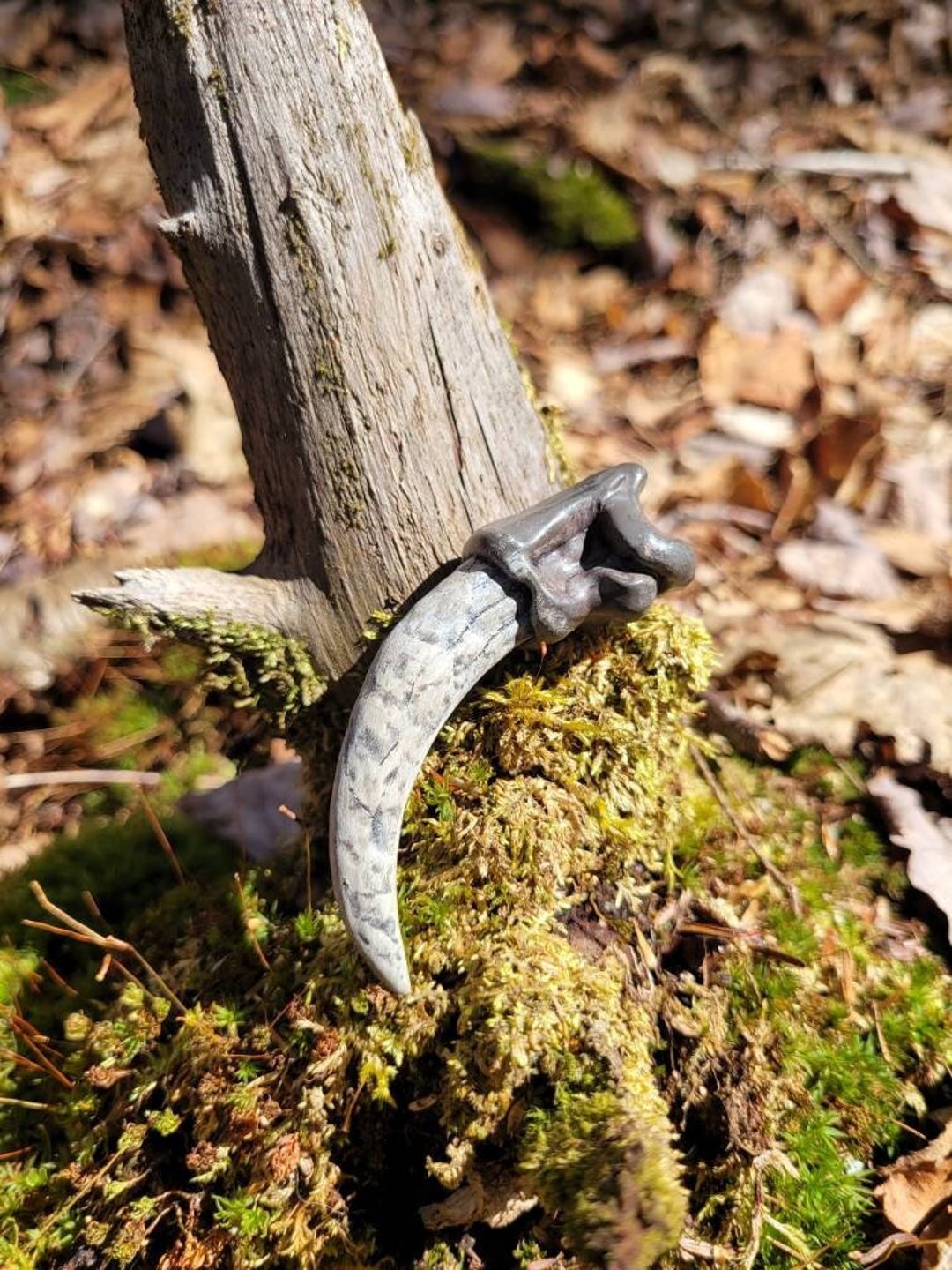 Basilisk Claws - Etsy