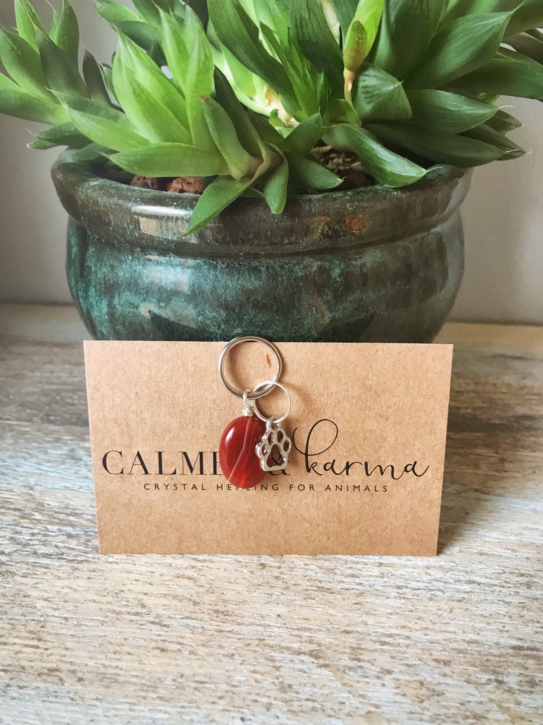 Carnelian Healing Crystal Pet Pendant: Mental Clarity for Cats & Dogs ...