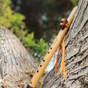 Native American Style Flute of Bamboo With Case Key in A Eagle - Etsy