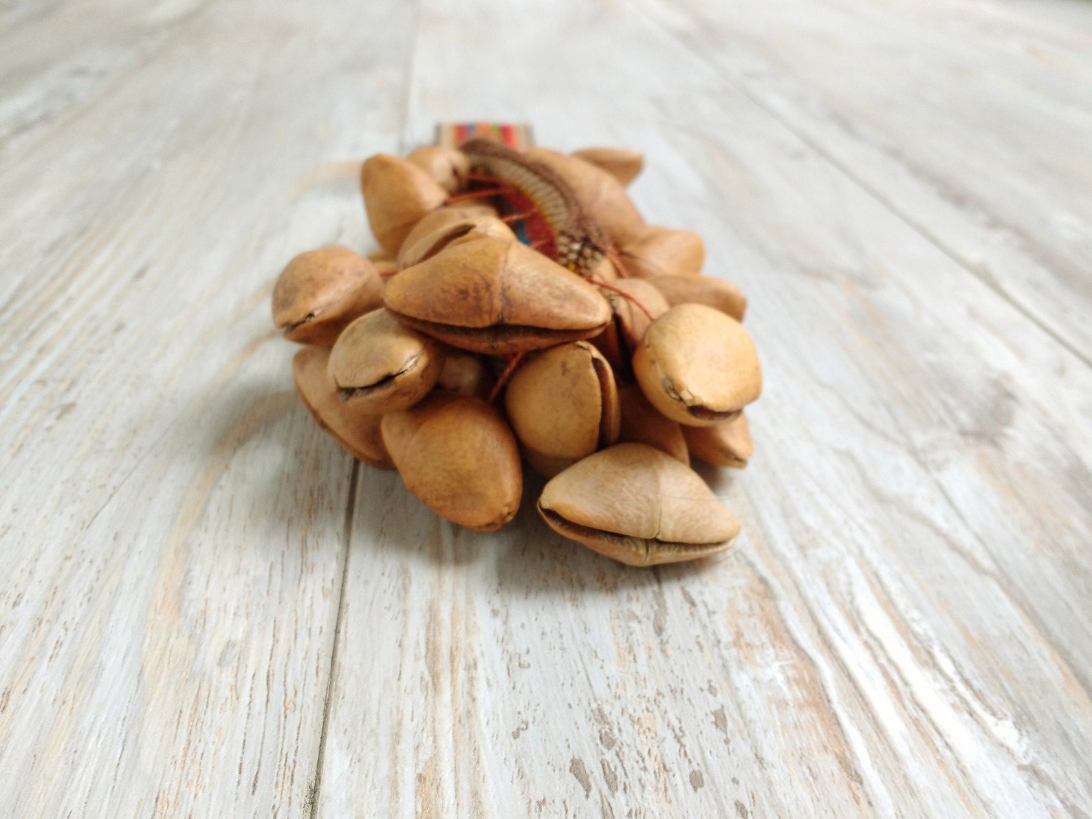 Shaker Seed Amazon Chajchas - Etsy Canada