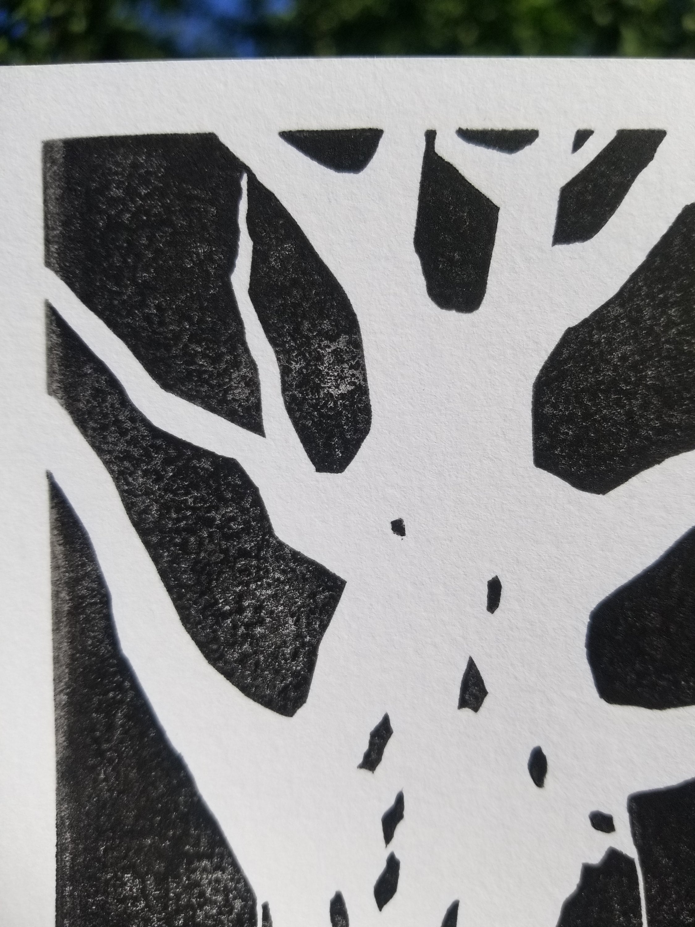 Sycamore Tree // Linoleum Relief Print - Etsy