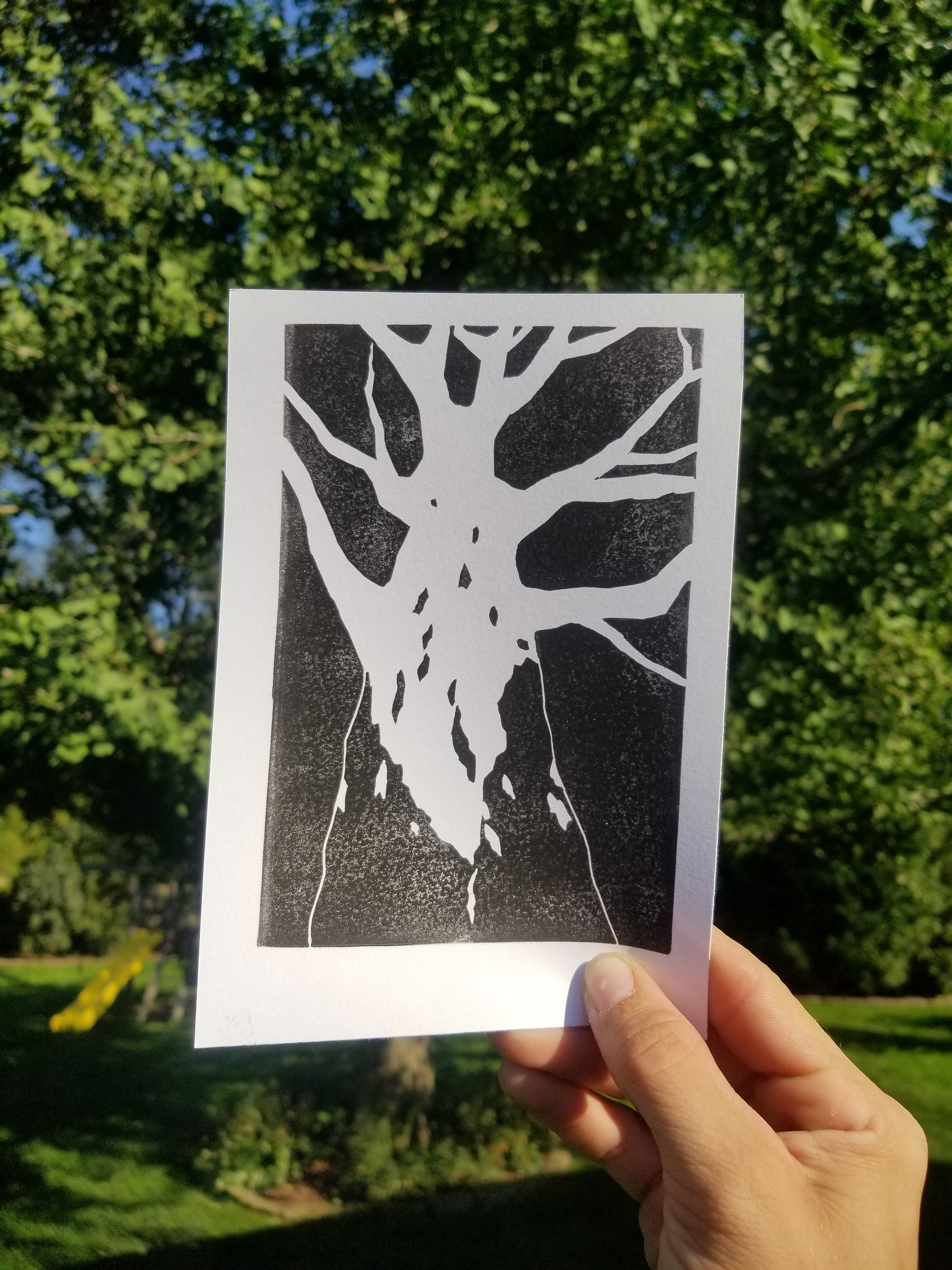 Sycamore Tree // Linoleum Relief Print - Etsy