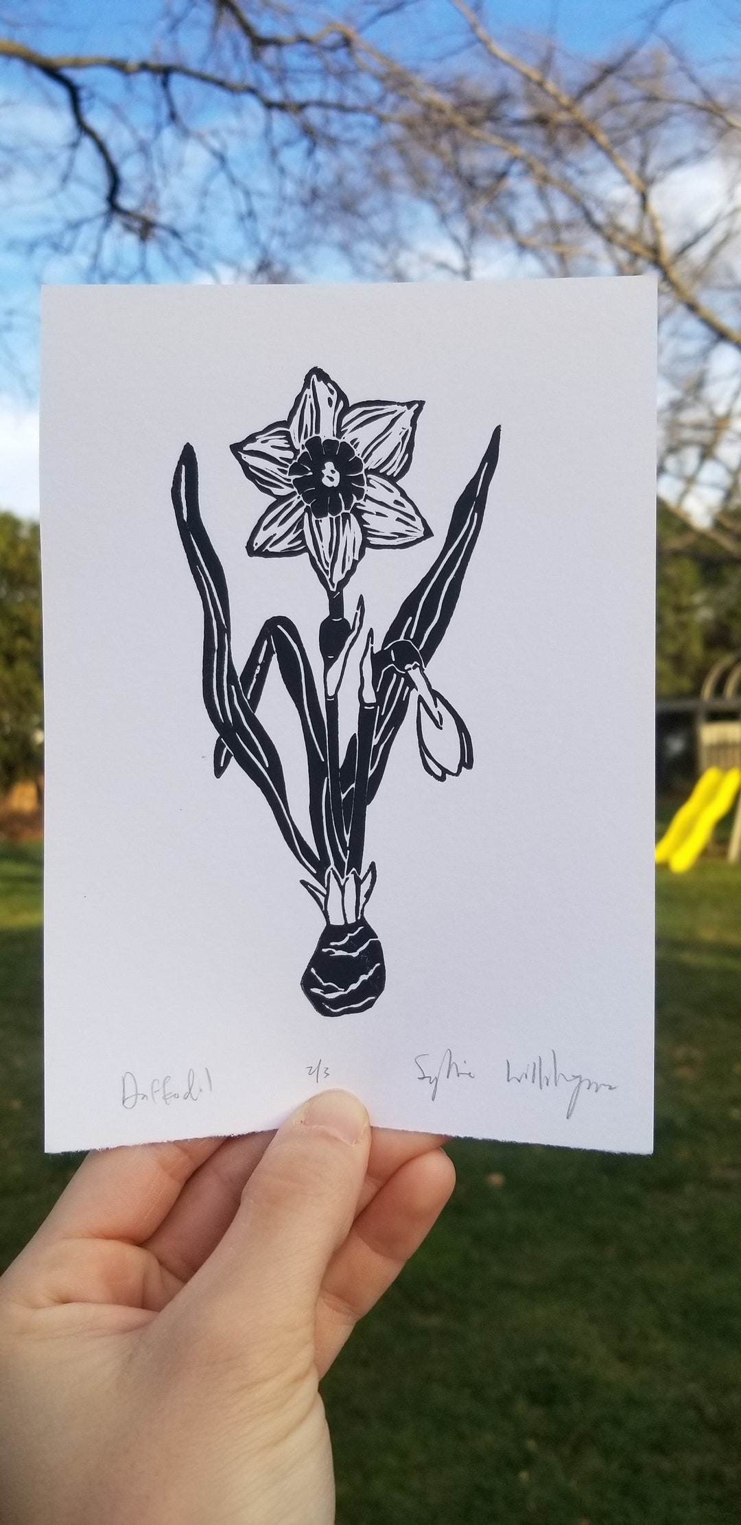 Daffodil // Linoleum Relief Print - Etsy