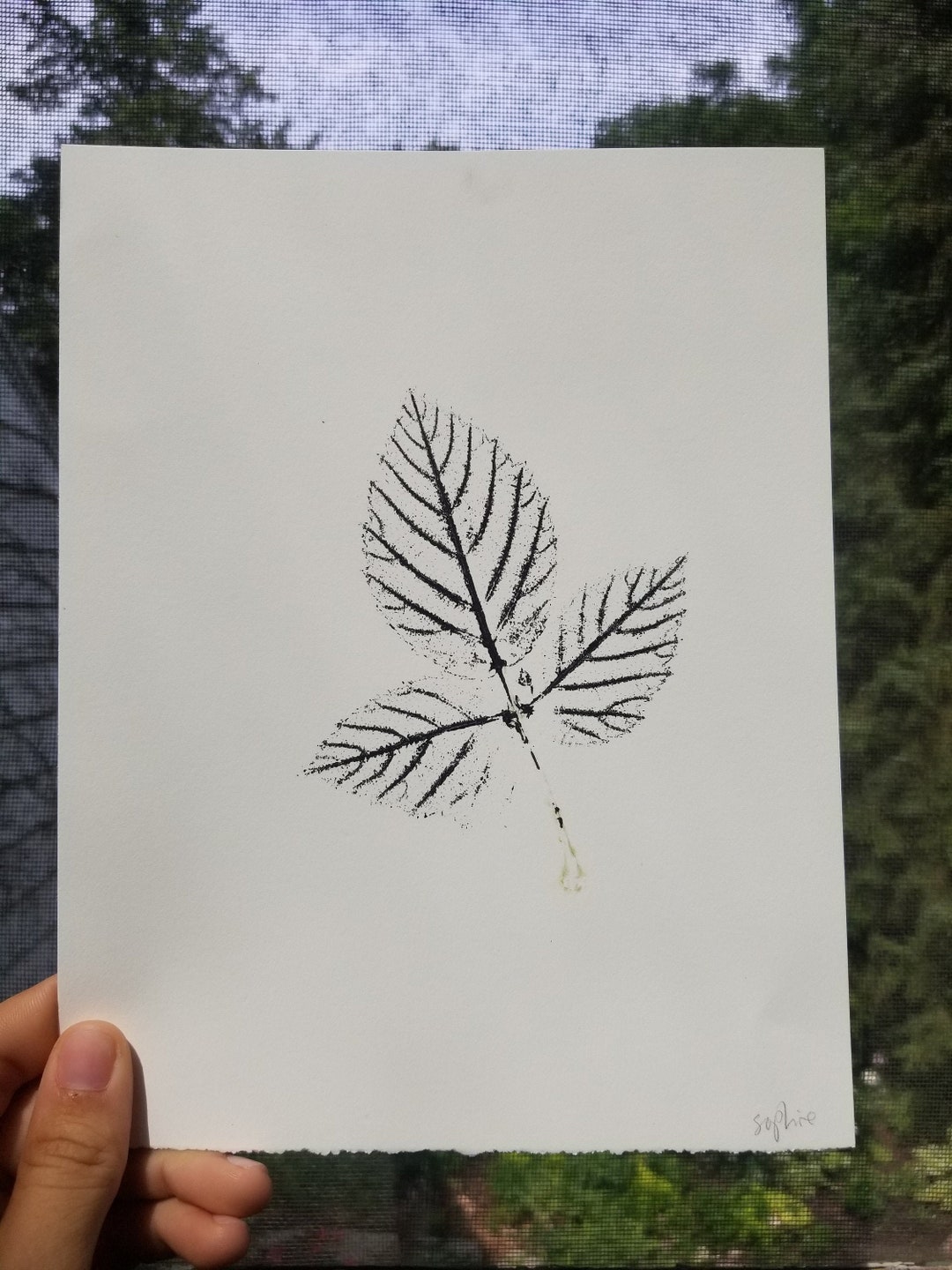 Raspberry Leaf // Collagraph Relief Print - Etsy