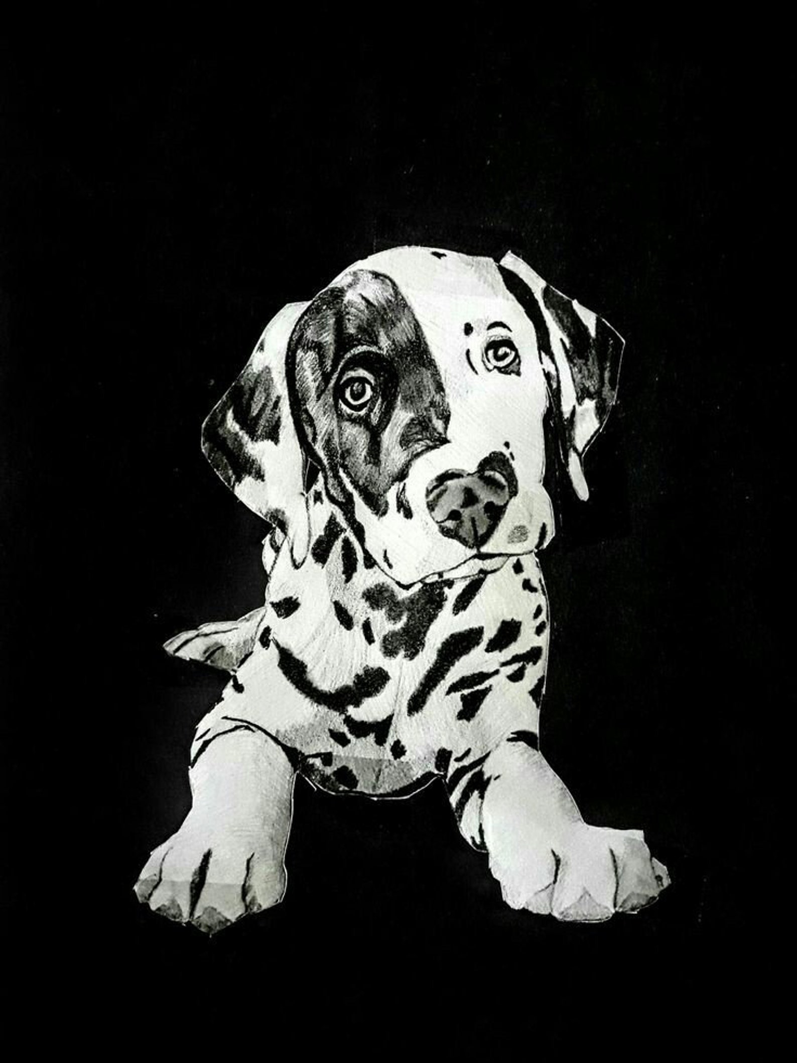 Custom Pet Portrait Hand Drawn Pet Portrait Pet Drawing Pet Portrait ...