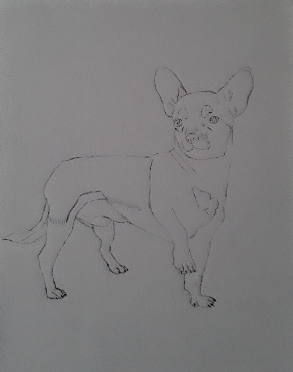 Custom Pet Portrait Hand Drawn Pet Portrait Pet Drawing - Etsy