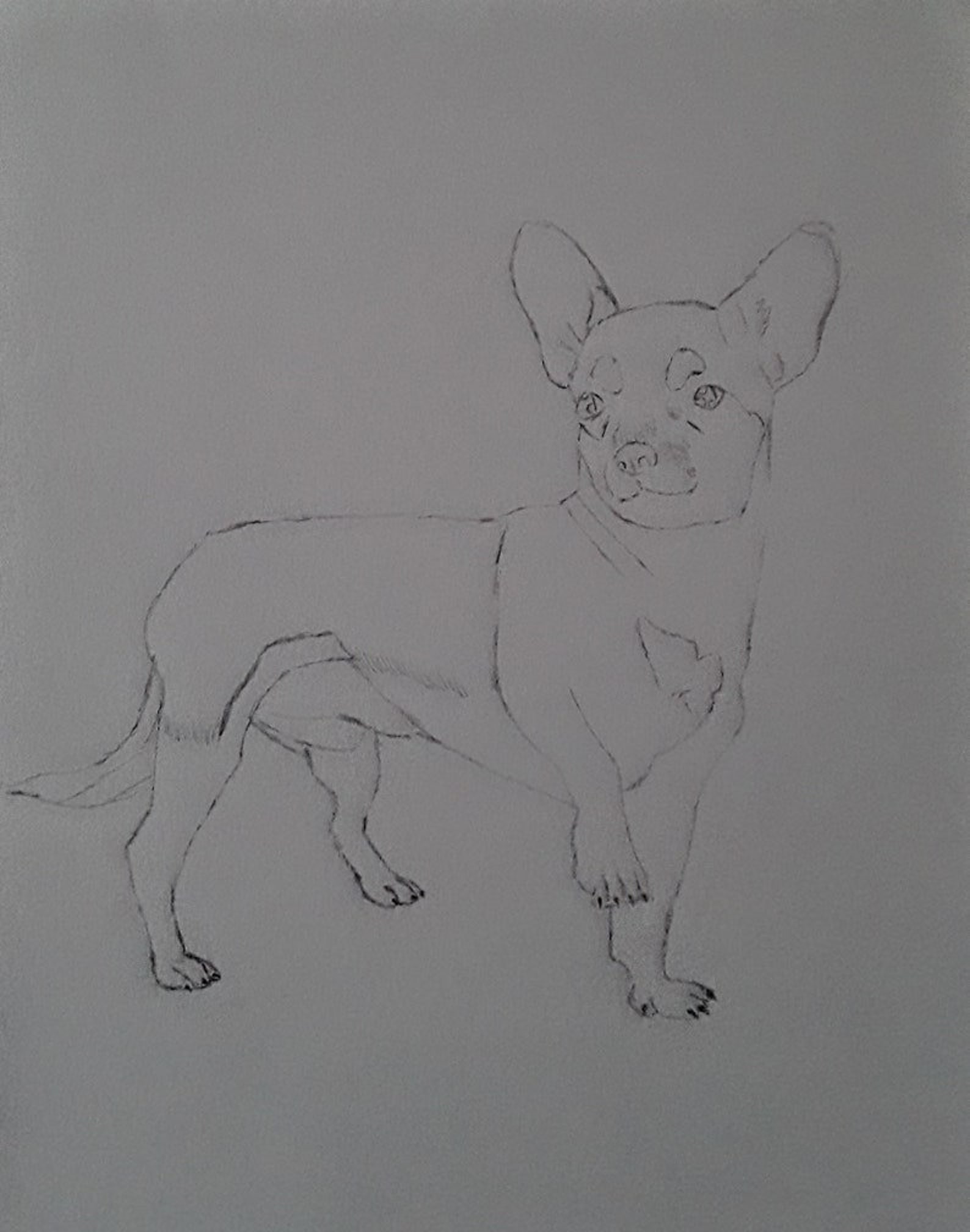 Custom Pet Portrait Hand Drawn Pet Portrait Pet Drawing - Etsy