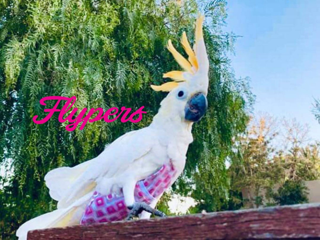 Size 7.5 Pigeon Flyper for 280g – 300g Bird Diaper Flyper for African ...