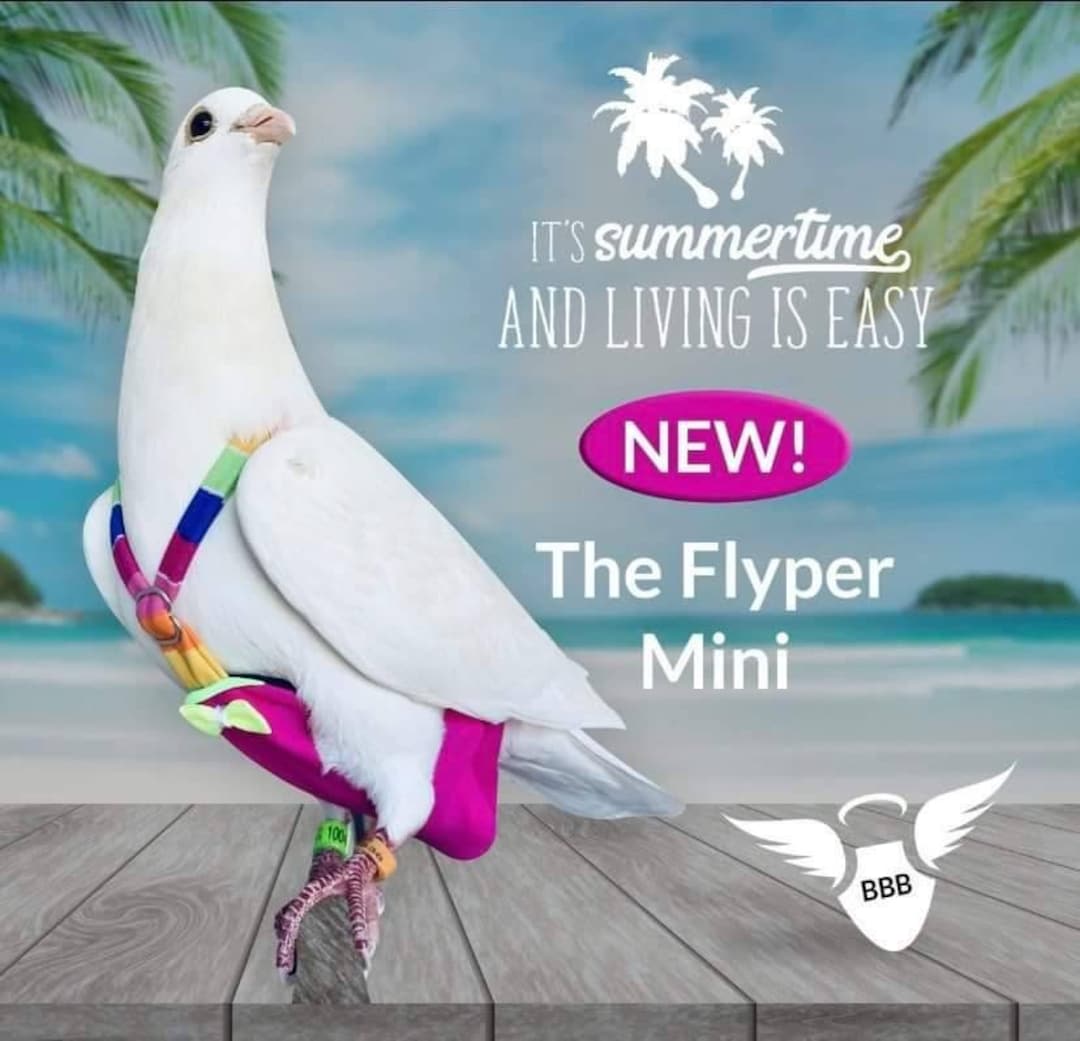 Pigeon Size 16 Flyper Mini Pigeon Diaper New Almost Naked Design for ...