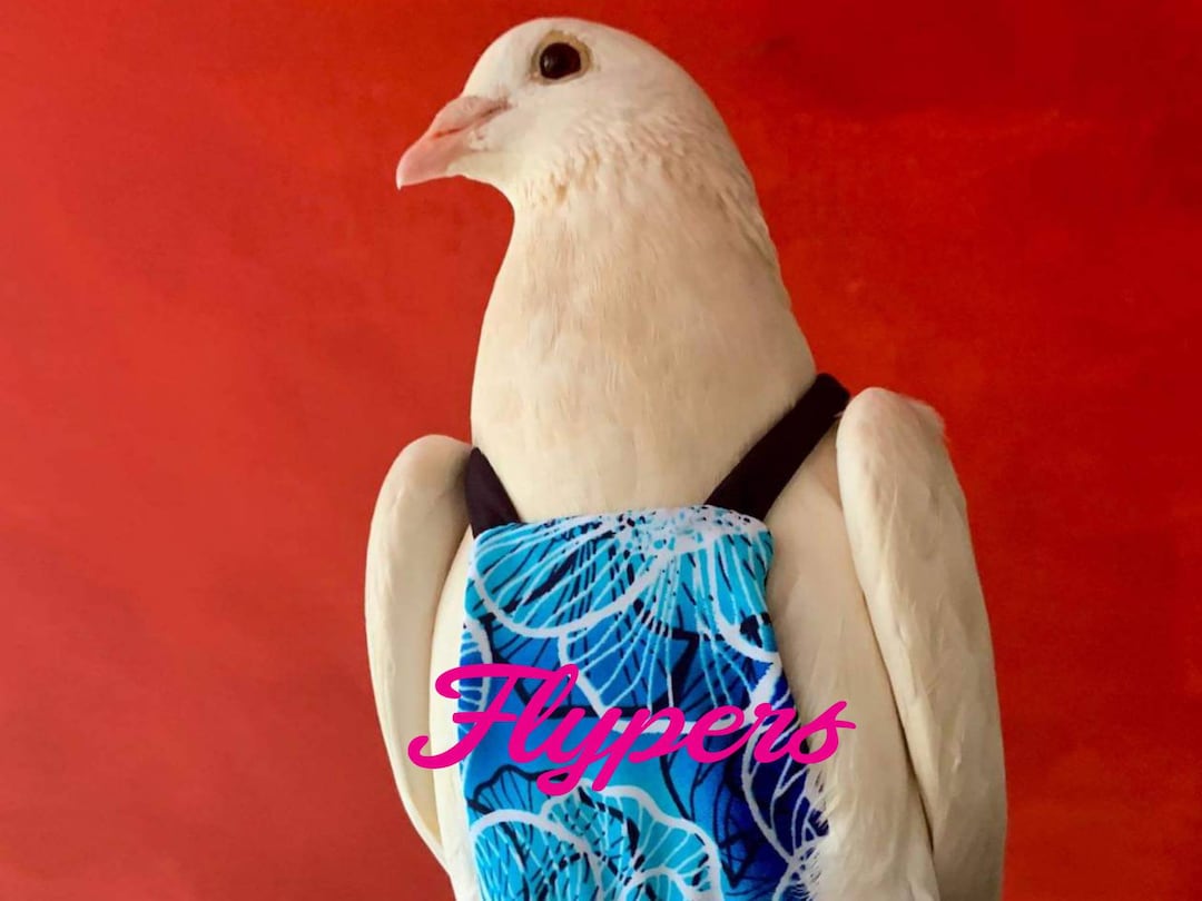 Size 16 Pigeon Flyper Bird Diaper for Pigeon Size, King Pigeon, Runt ...