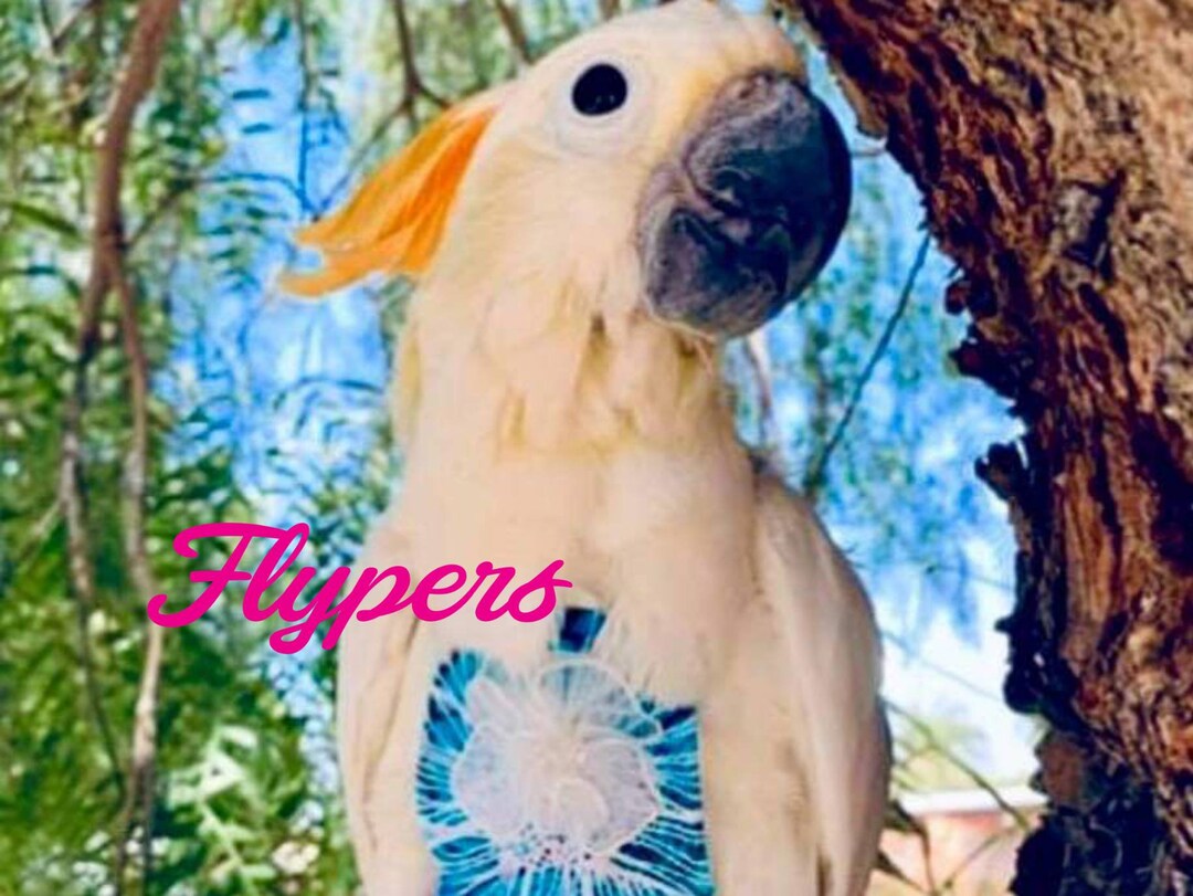 Size 10 Parrot Flyper for +/-520g Bird Diaper for Eclectus Vos Maeri ...